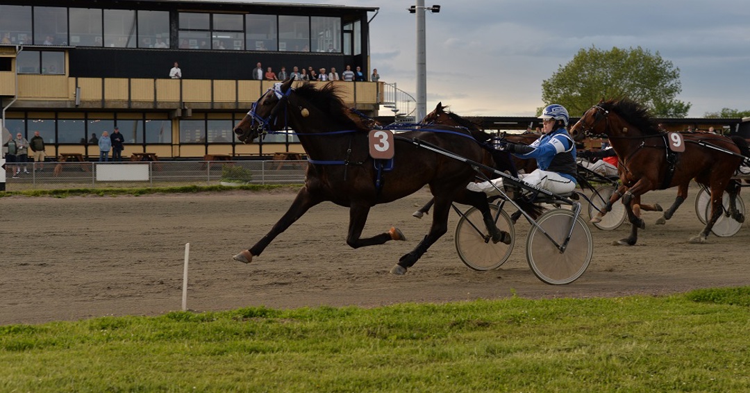 Vellegrino S hele vejen